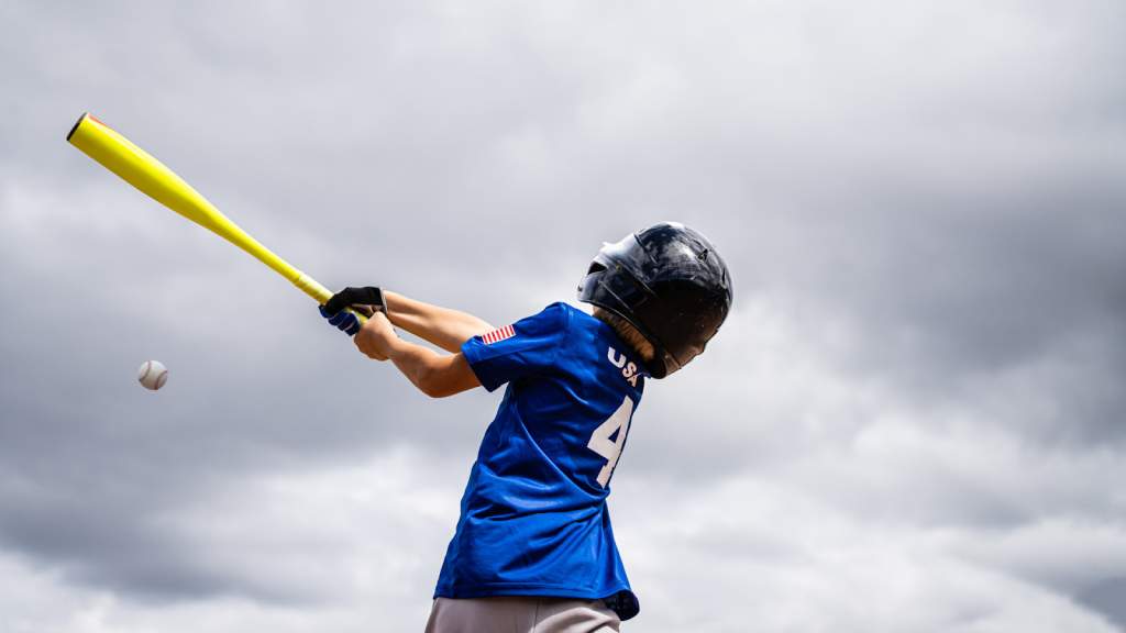 5 Best BBCOR Bats - New Arena