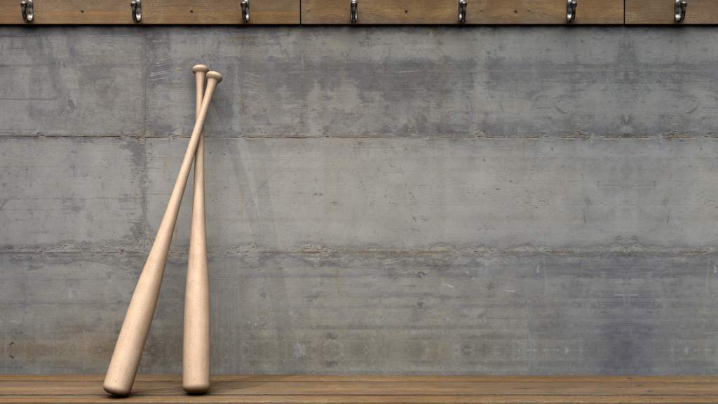 Fungo Bat - New Arena