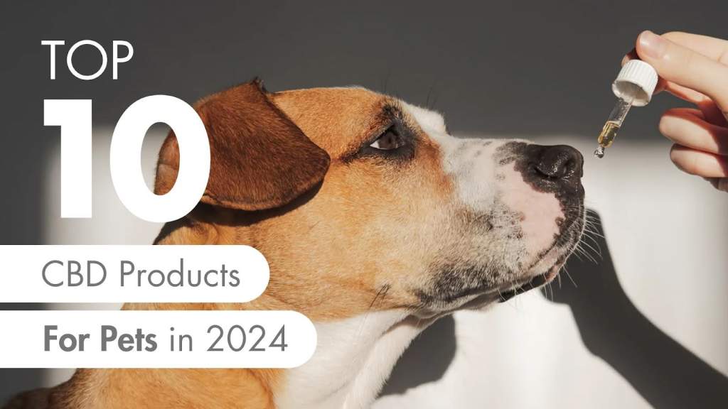 New Arena - New Arena: In-depth Sports Analysis